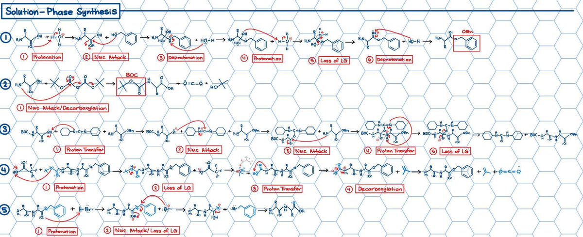 Solution-Phase Synthesis Mechanism: Detailed Steps and Reactions - Studocu