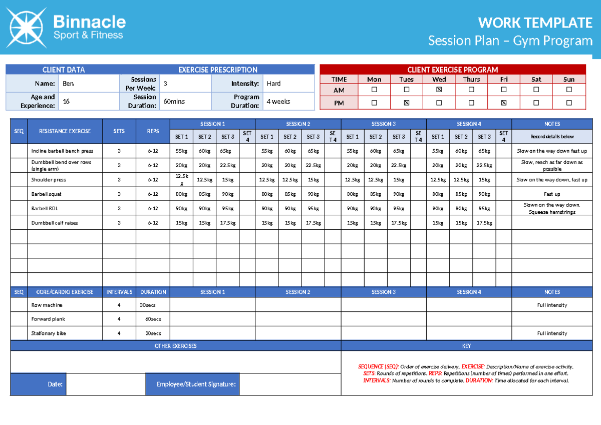 Gym Program Session Plan Template - Client Data & Exercise Details ...