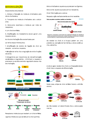 Lesão POR AÇÃO Contundente - LESÃO POR AÇÃO CONTUNDENTE Agente ...
