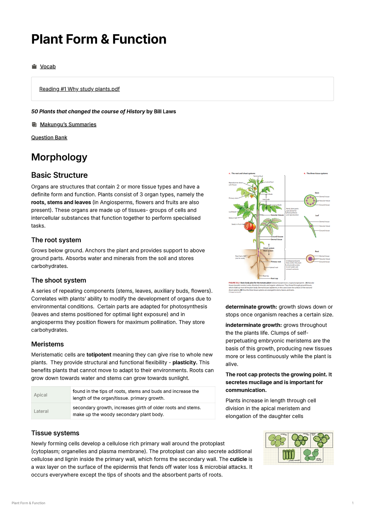 PLT 101: Comprehensive Guide to Plant Form & Function - Studocu