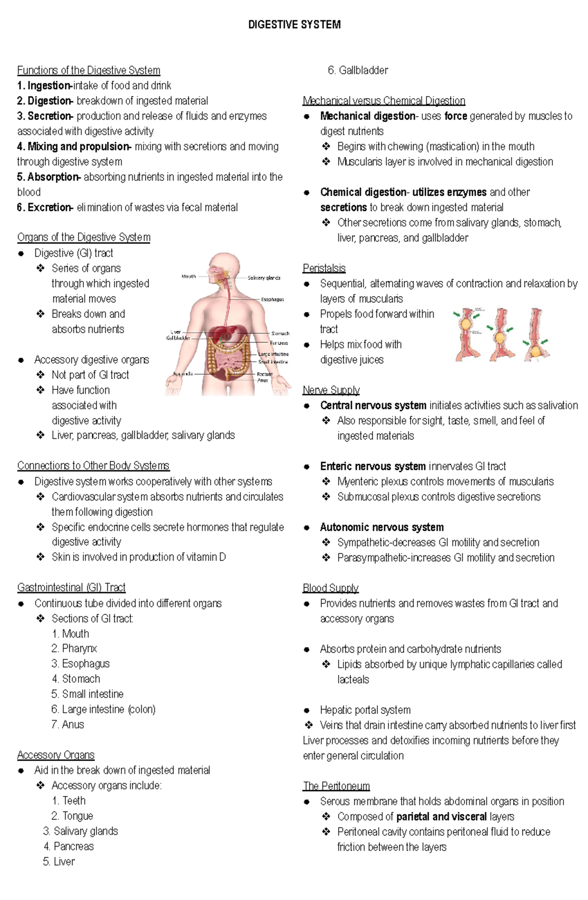 Anaphy - Digestive System - DIGESTIVE SYSTEM Functions of the Digestive ...