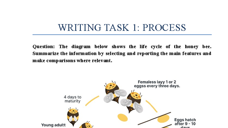 Writing Task 1: Process of Honey Bee Life Cycle - Studocu
