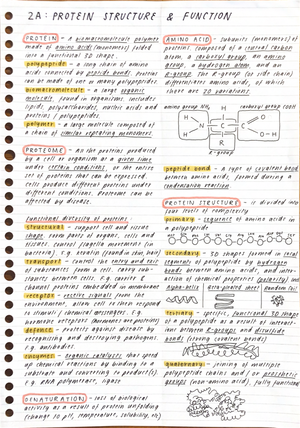 Bio prac sac - practice exam - VCE Biology Unit 3 AOS 1 Practise SAC Structure Reading Time: 10 ...