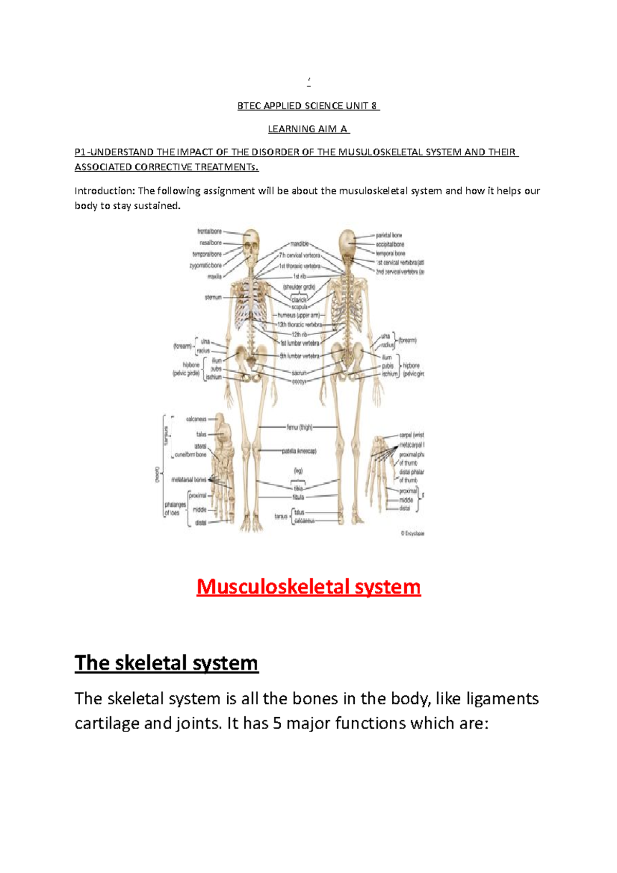 BTEC Applied Science Unit 8: Understanding Musculoskeletal System ...