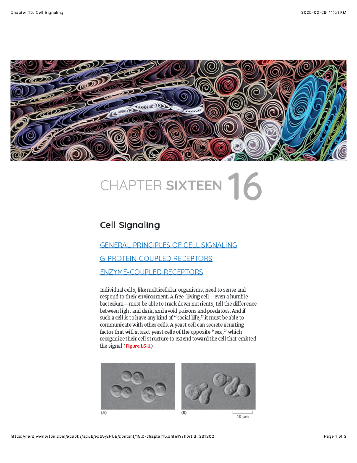 Chapter 16: Cell Signaling - Textbook Notes - ####### Chapter 16: Cell ...