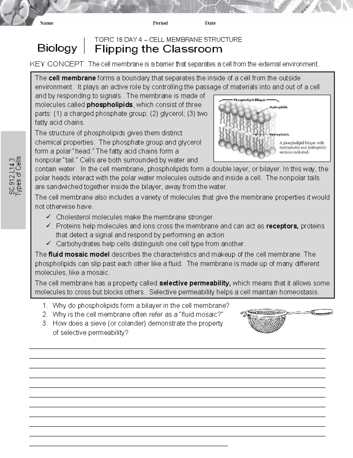 SC.912.L14 Flipping the Classroom: Understanding Cell Membrane ...