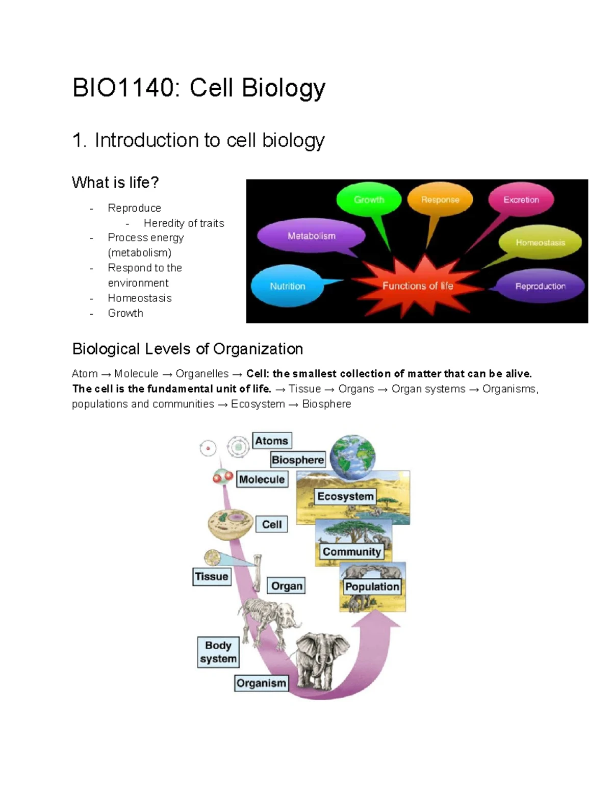 bio 1140 final exam - BIO1140 - Introduction to Cell Biology – Final Exam Professor: Dr ...
