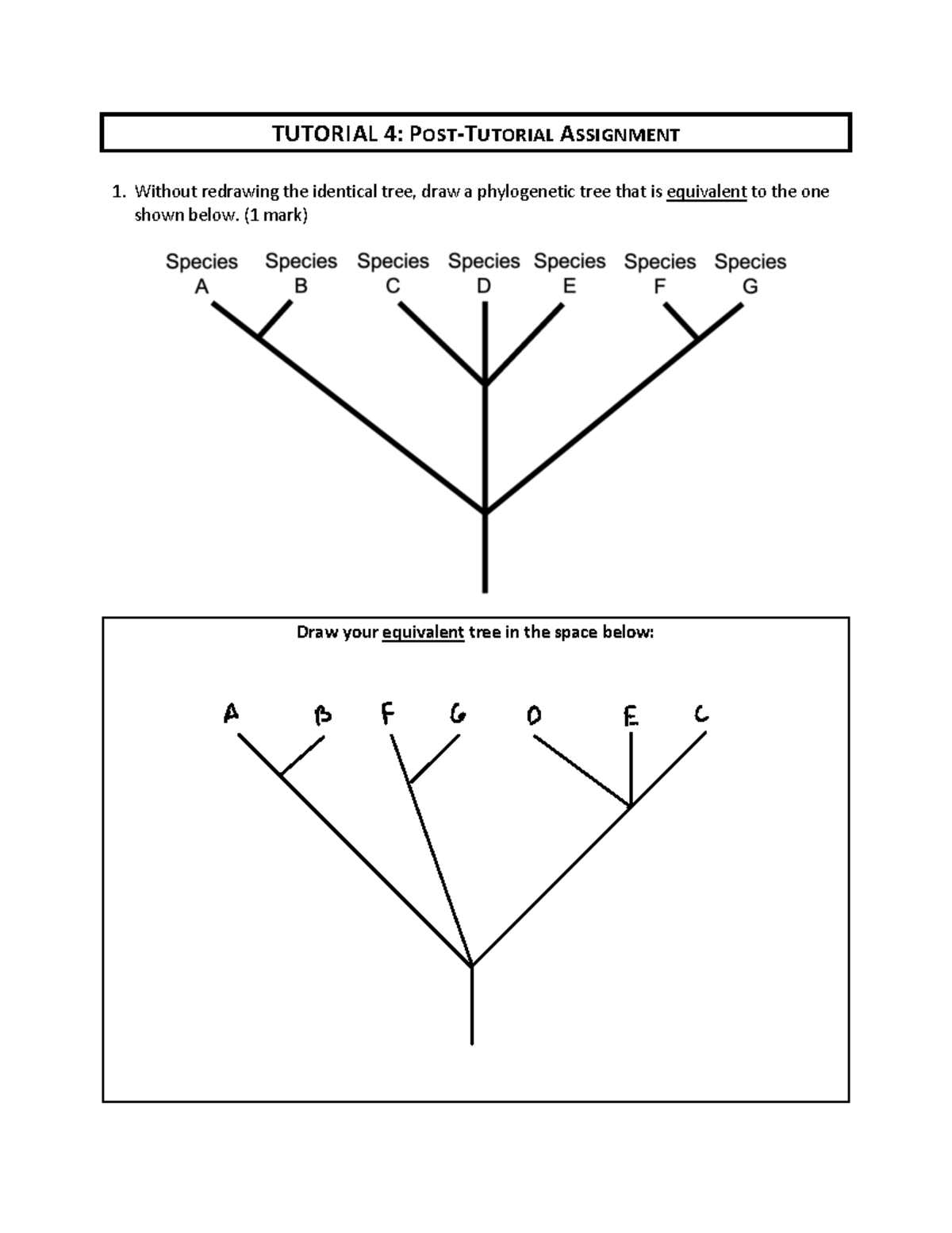 Tutorial 4: Analyzing Phylogenetic Trees and Evolutionary Relationships ...