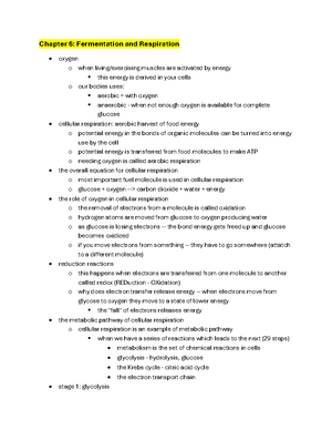 Understanding Cellular Processes: Photosynthesis, Respiration ...