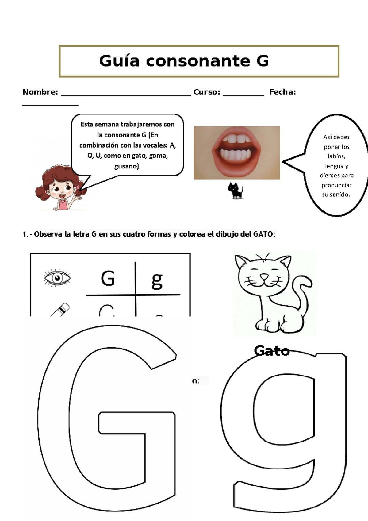 Examen de Conducción: Preguntas Clave y Respuestas Esenciales - Studocu