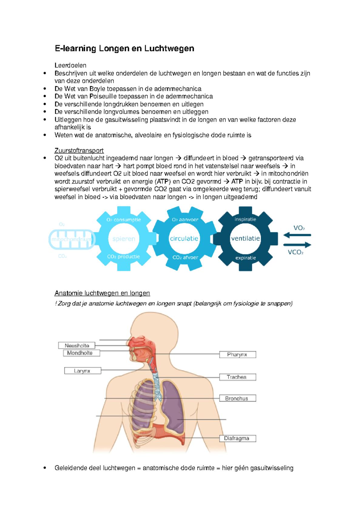 MGZ E-learning: Anatomie en Fysiologie van Longen en Luchtwegen ...
