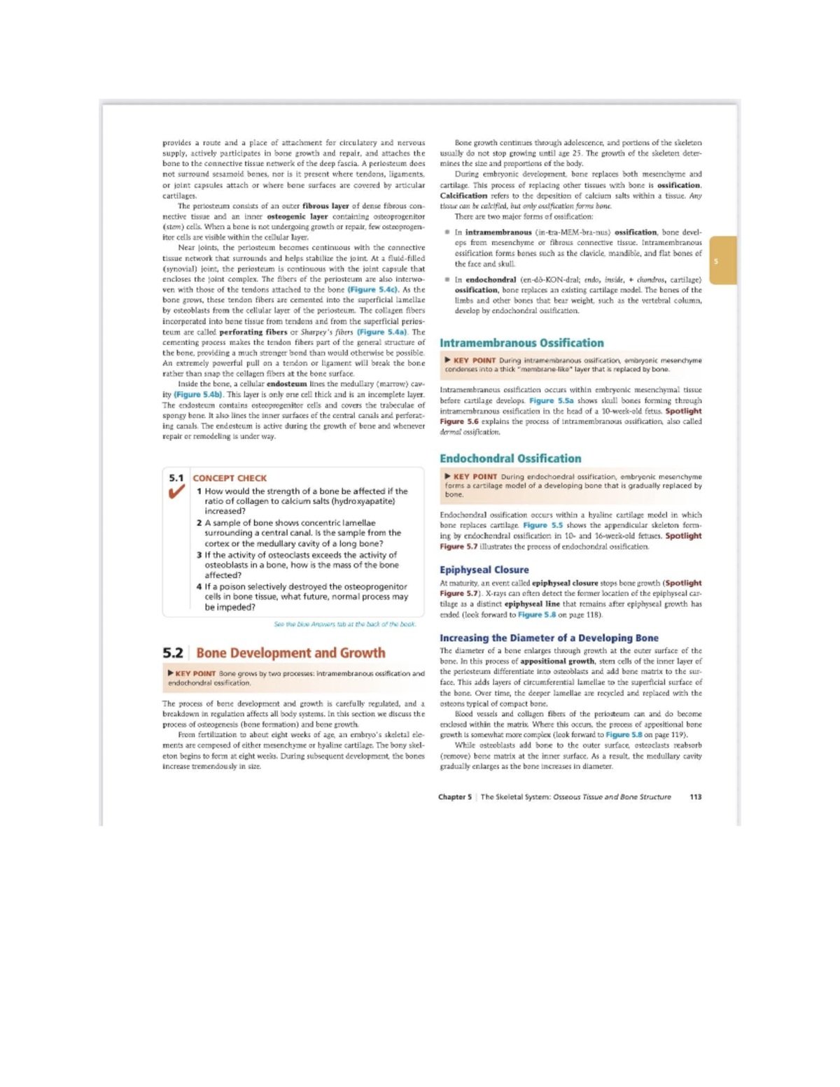 "Comprehensive Study Notes for Course XYZ - Bone Growth and ...