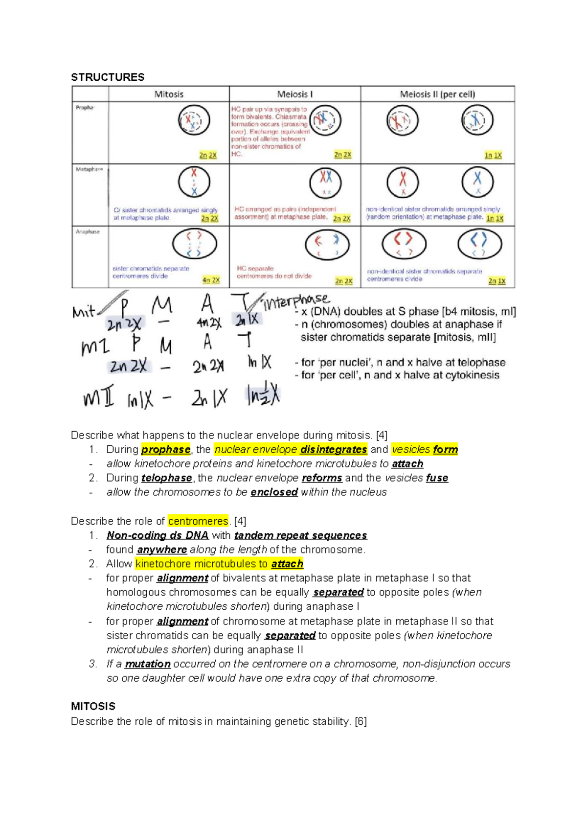 B6. Mitosis and Meiosis: Processes and Genetic Implications - Studocu