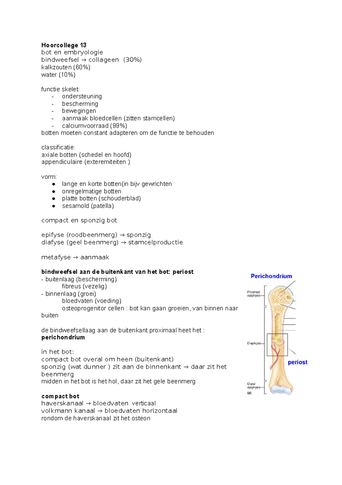 Hoorcollege 13: Botstructuur en Embryologie - Belangrijke Concepten ...