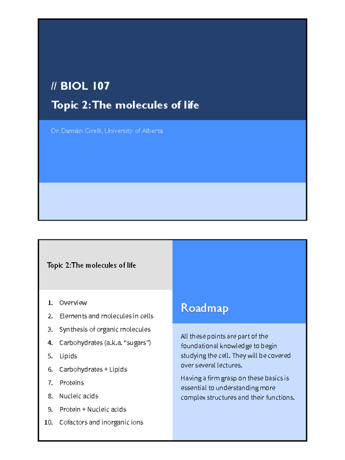BIOL 107: Topic 2 - The Molecules of Life Overview & Key Concepts - Studocu