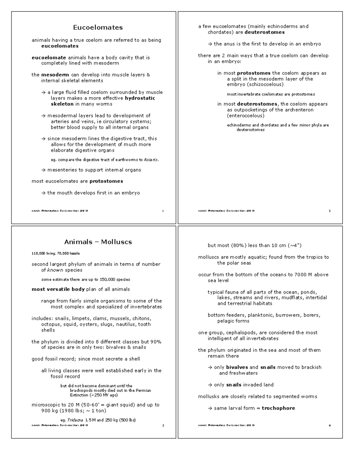 Phylum Mollusca: Comprehensive Lecture Notes (Ziser, 2015) - Studocu