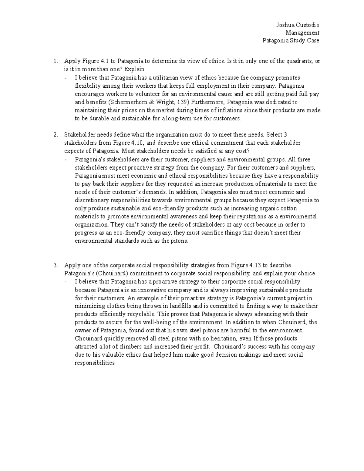 Patagonia Study Case - Ethical Views and Corporate Social ...