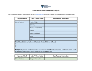 CJ 140 Module Seven Practice Activity Template - An example has been ...