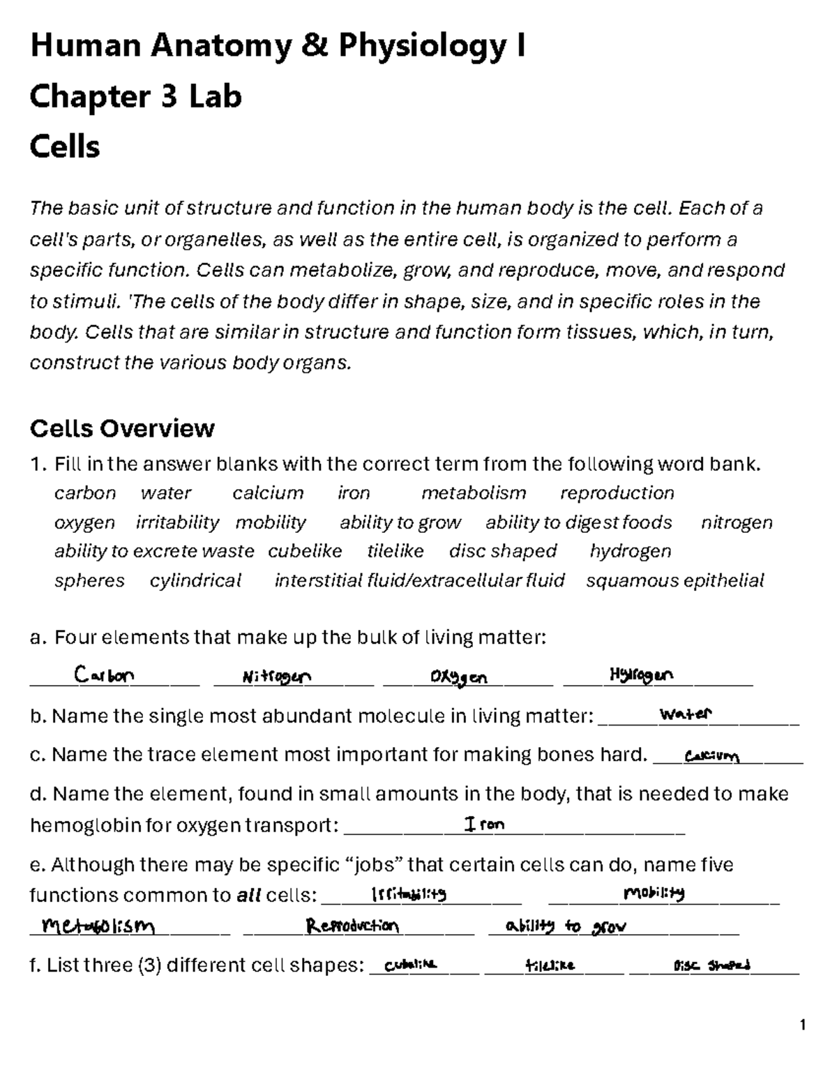 Human Anatomy & Physiology I - Chapter 3 Lab: Cells - Studocu