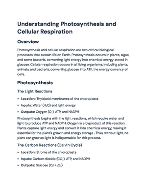 Understanding the Scientific Method: Key Components and Steps ...