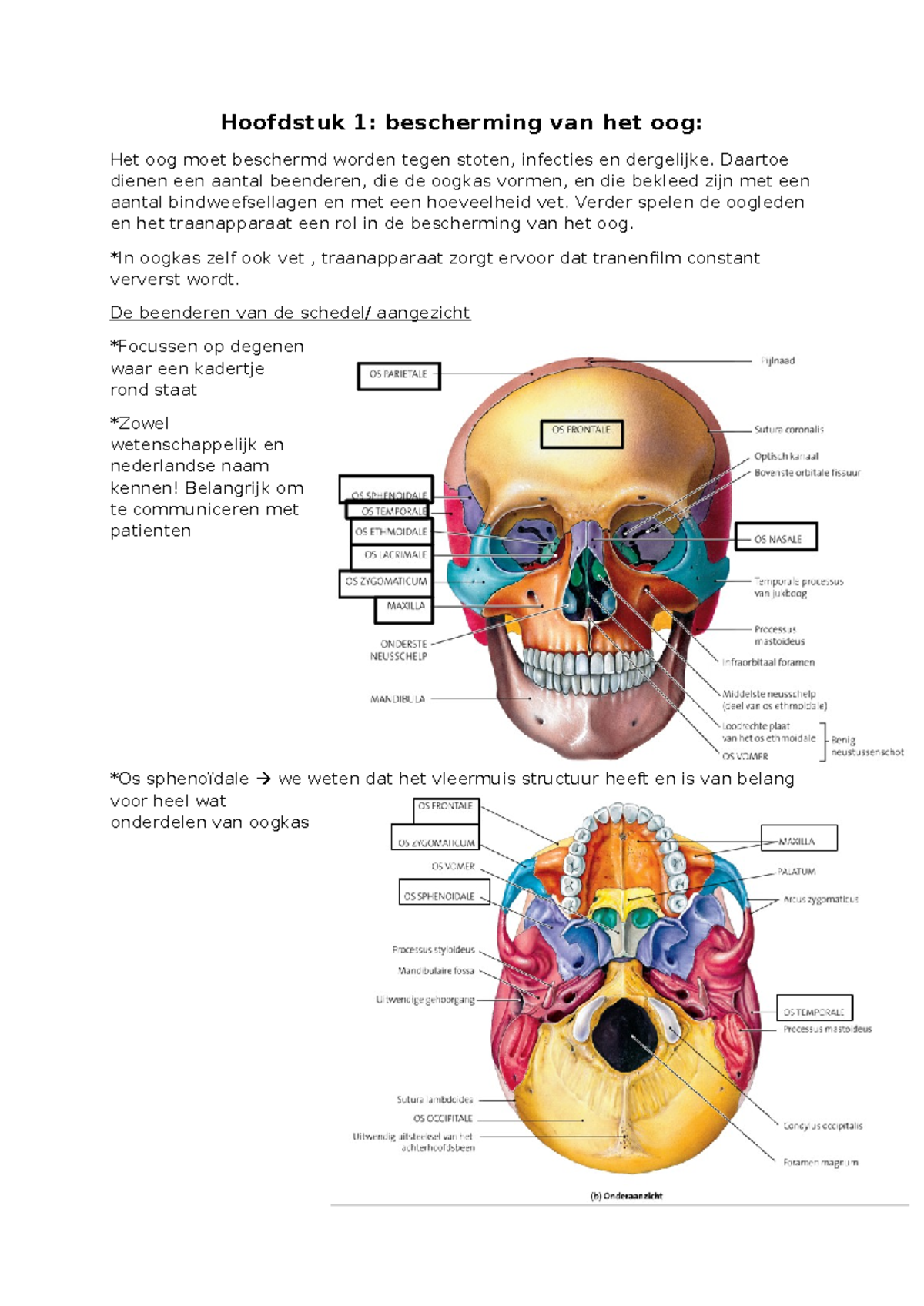 Hoofdstuk 1: Anatomie van de Oogkas en Bescherming van het Oog - Studocu