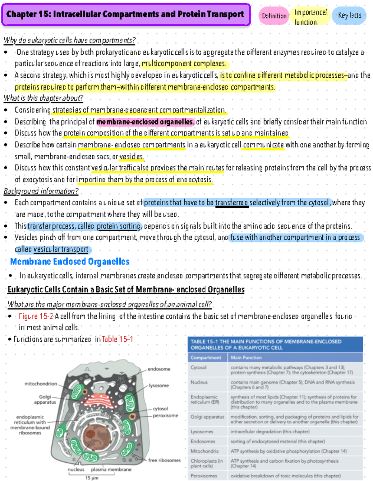 Cell biology chapter 15: intracellular compartments and protein ...