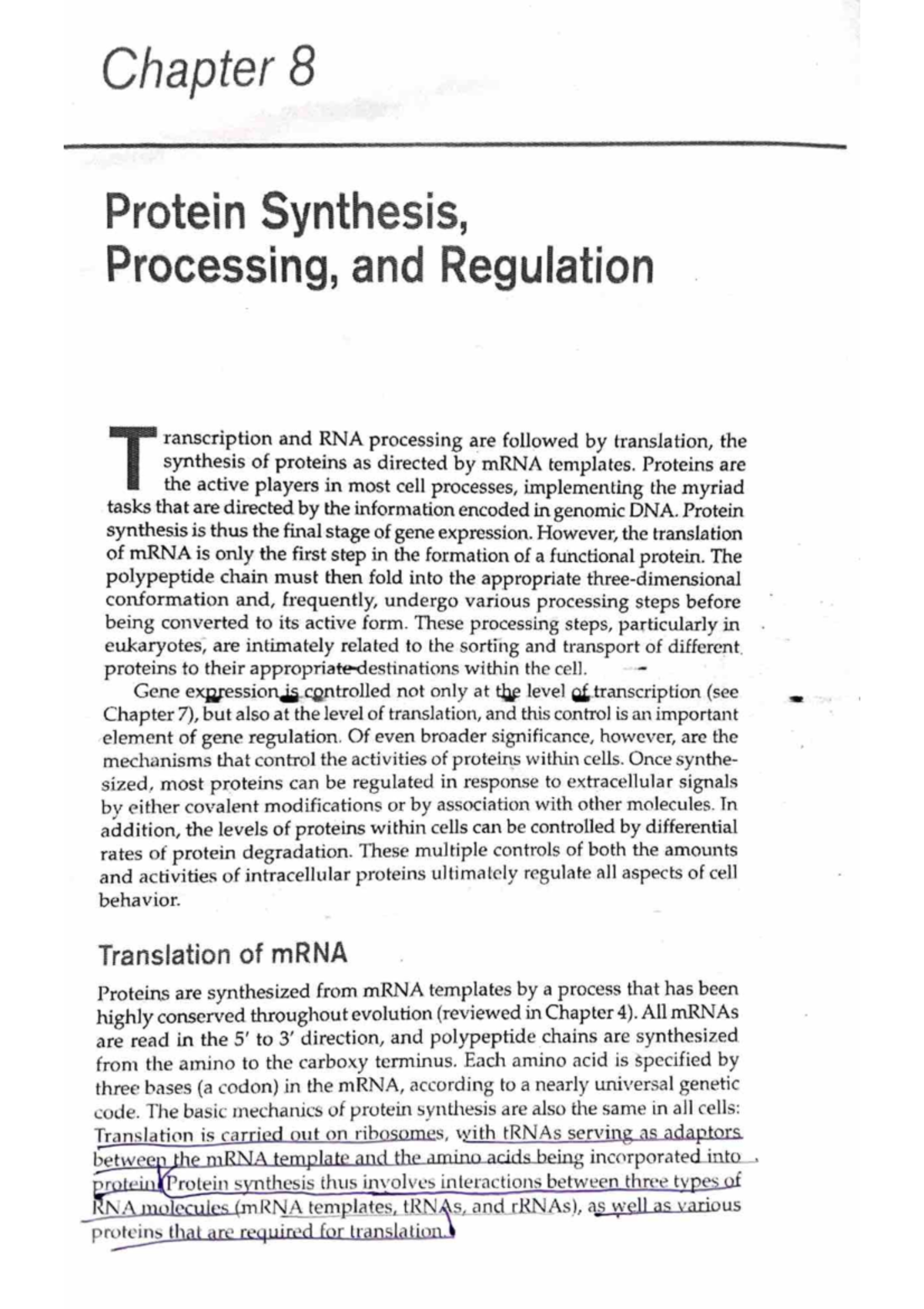 Protein synthesis, Processing and Regulation - Molecular Biology And ...