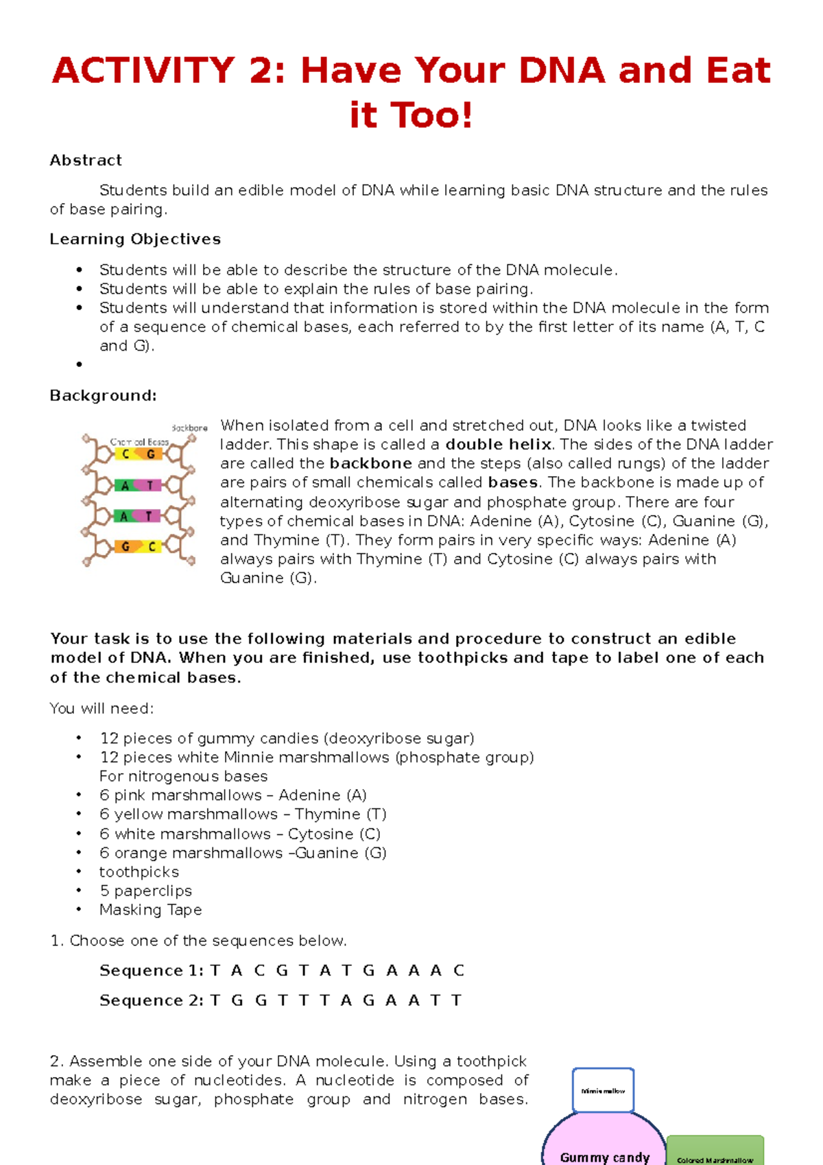 Activity 2 DNA Model - Gummy candy Minnie mallow Colored Marshmallow ...