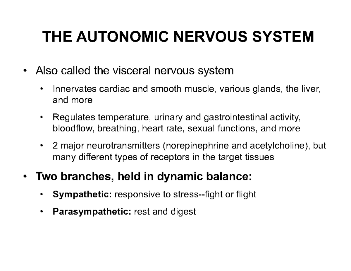Understanding the Autonomic Nervous System: Functions and Pathways ...