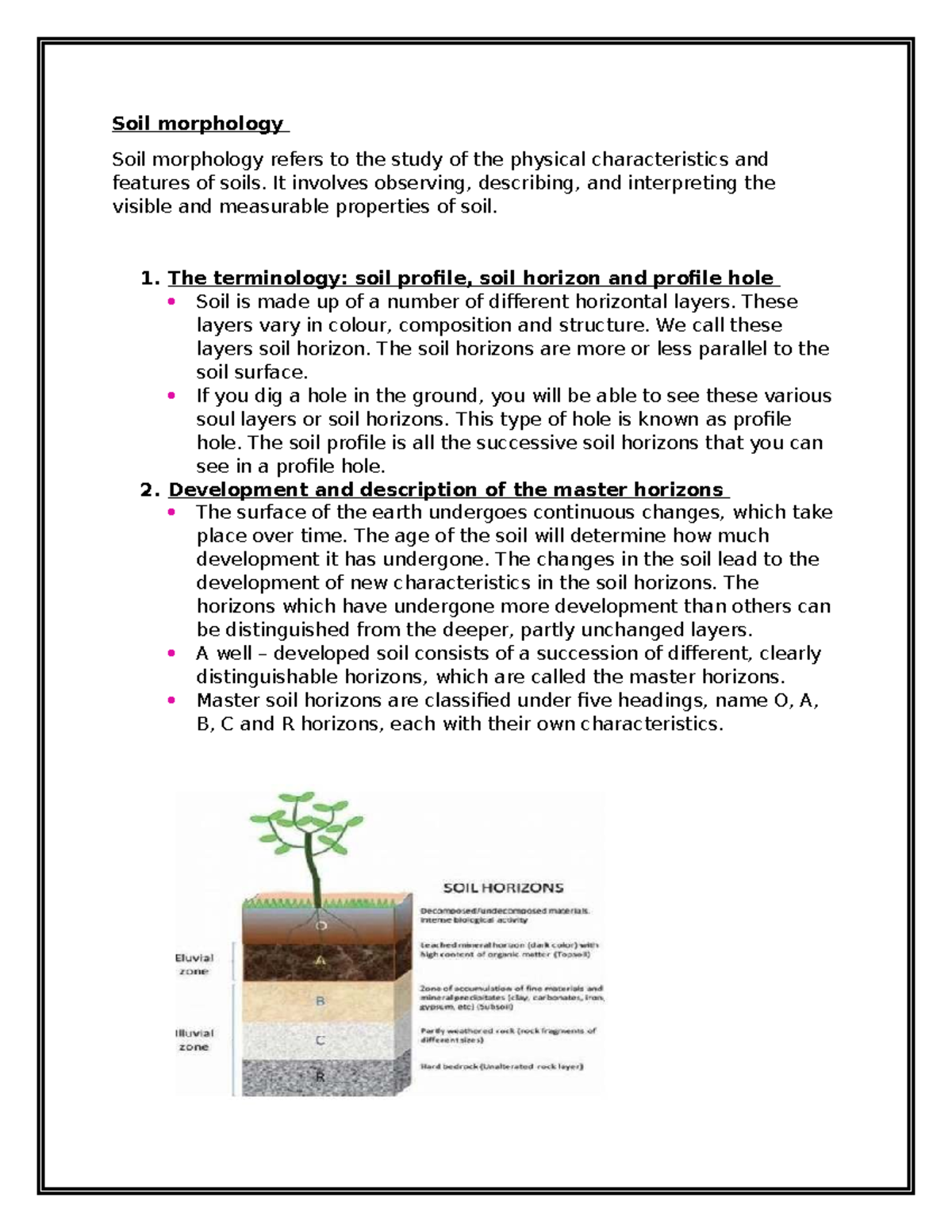 Soil Science (Grade 11) - Understanding Soil Morphology Concepts - Studocu
