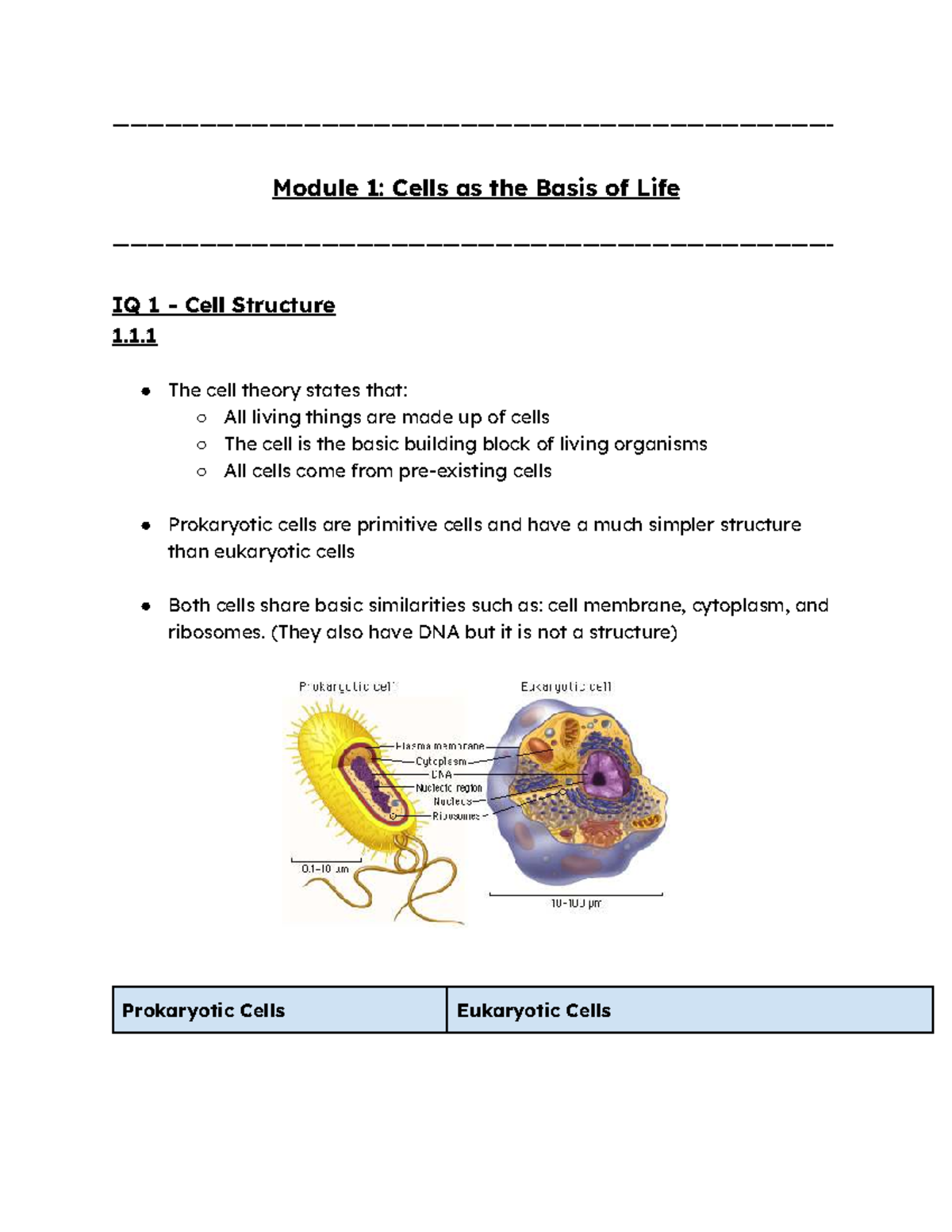 Y11 Biology Notes: Module 1 - Cells as the Basis of Life - Studocu