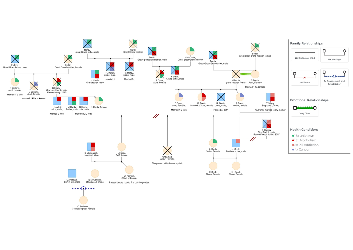 Family Relationships Overview: Mygen Graph Analysis - Studocu