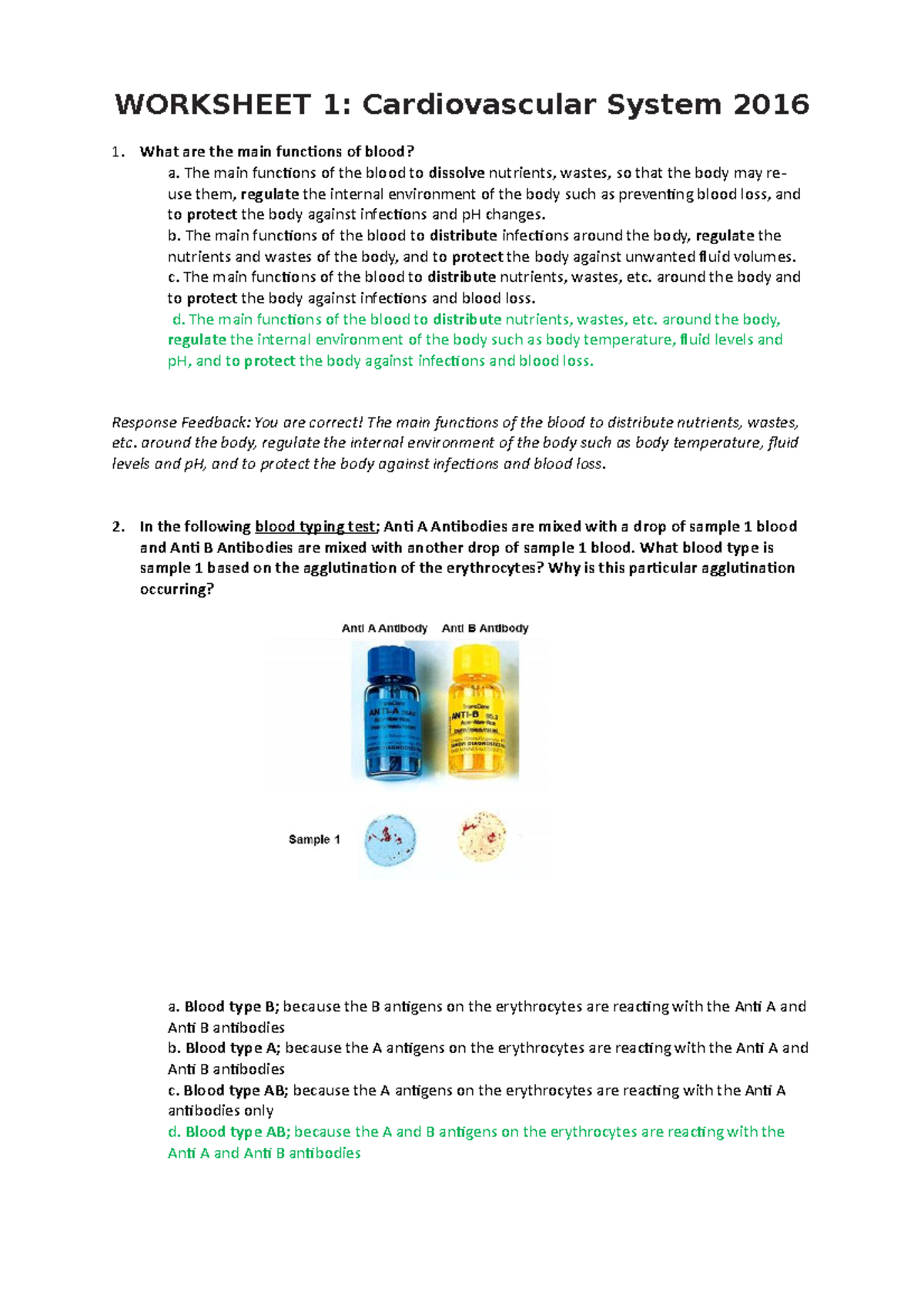 HAP 2 Worksheet 1 - Cardiovascular System - WORKSHEET 1: Cardiovascular ...