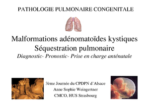 Copro parasitologie résumé - Coprologie parasitaire Dr Y. Merad (Cours ...
