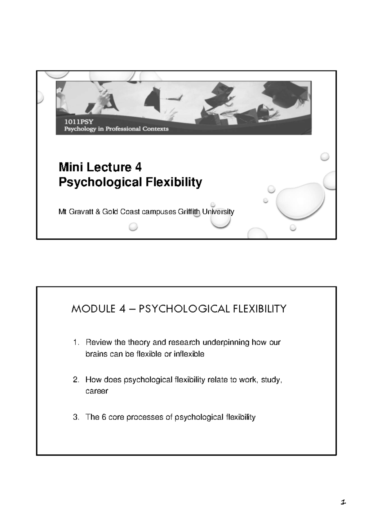 Mini Lecture 4: Psychological Flexibility - Studocu