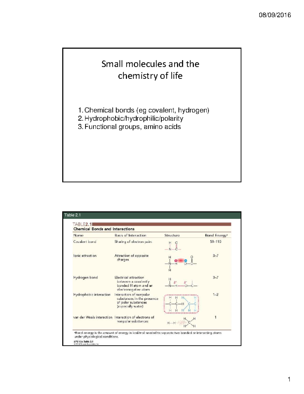 Small Molecules & Chemistry of Life: Tutorial 0 Review - Studocu