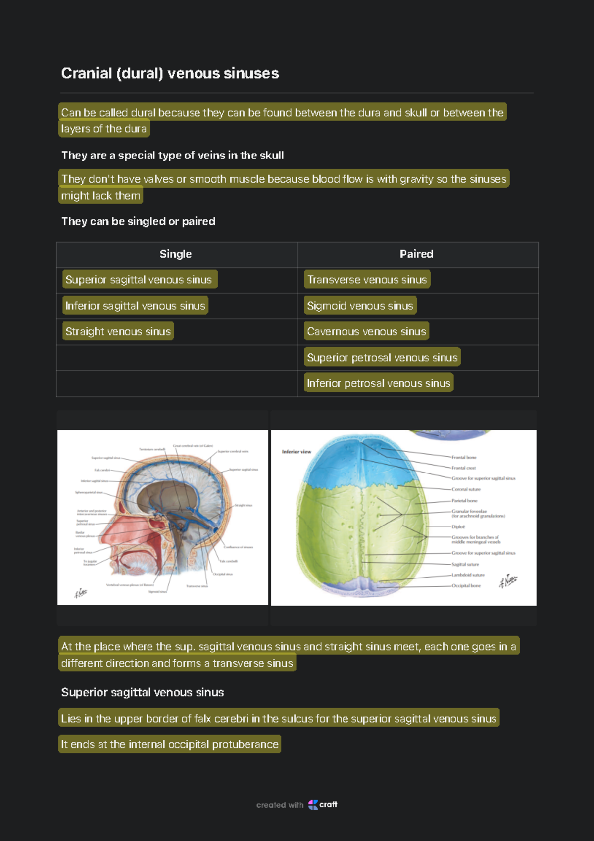 Cranial (dural) venous sinuses - sagittal venous sinus and straight ...