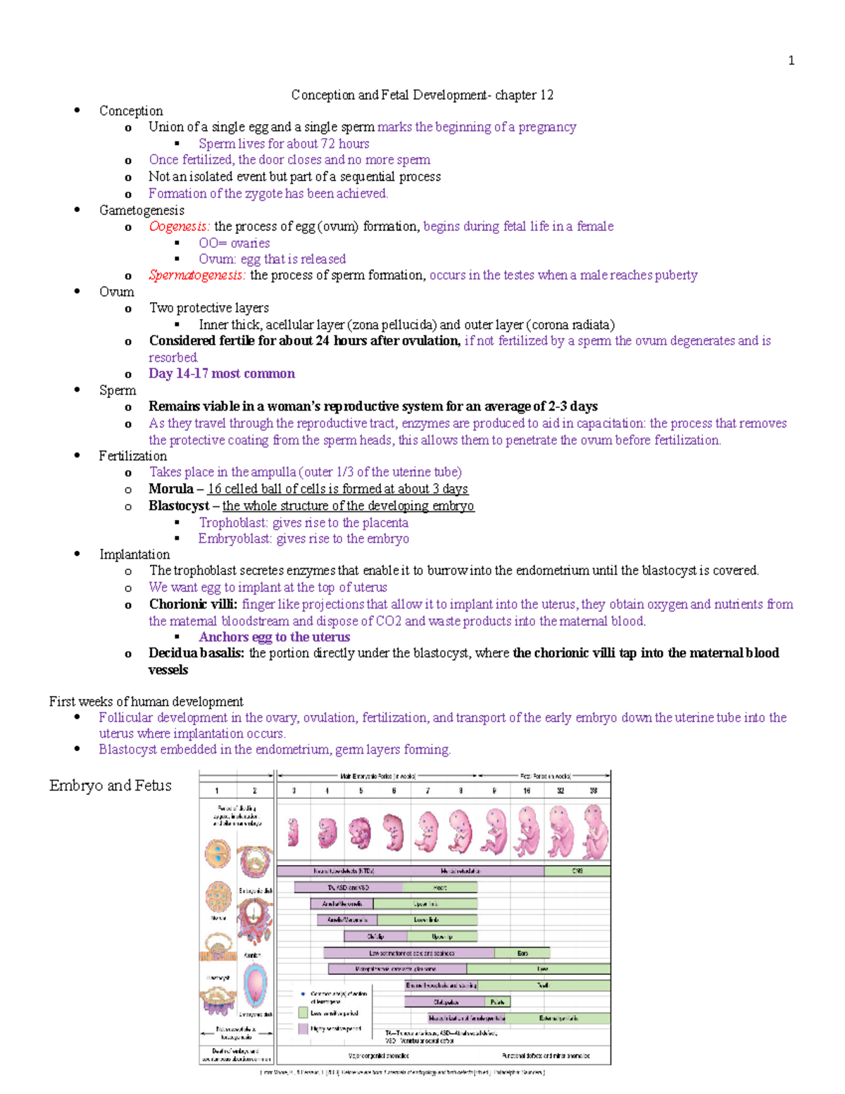 OB 12 - Maternity & Child Care Study Guide: Conception & Development ...