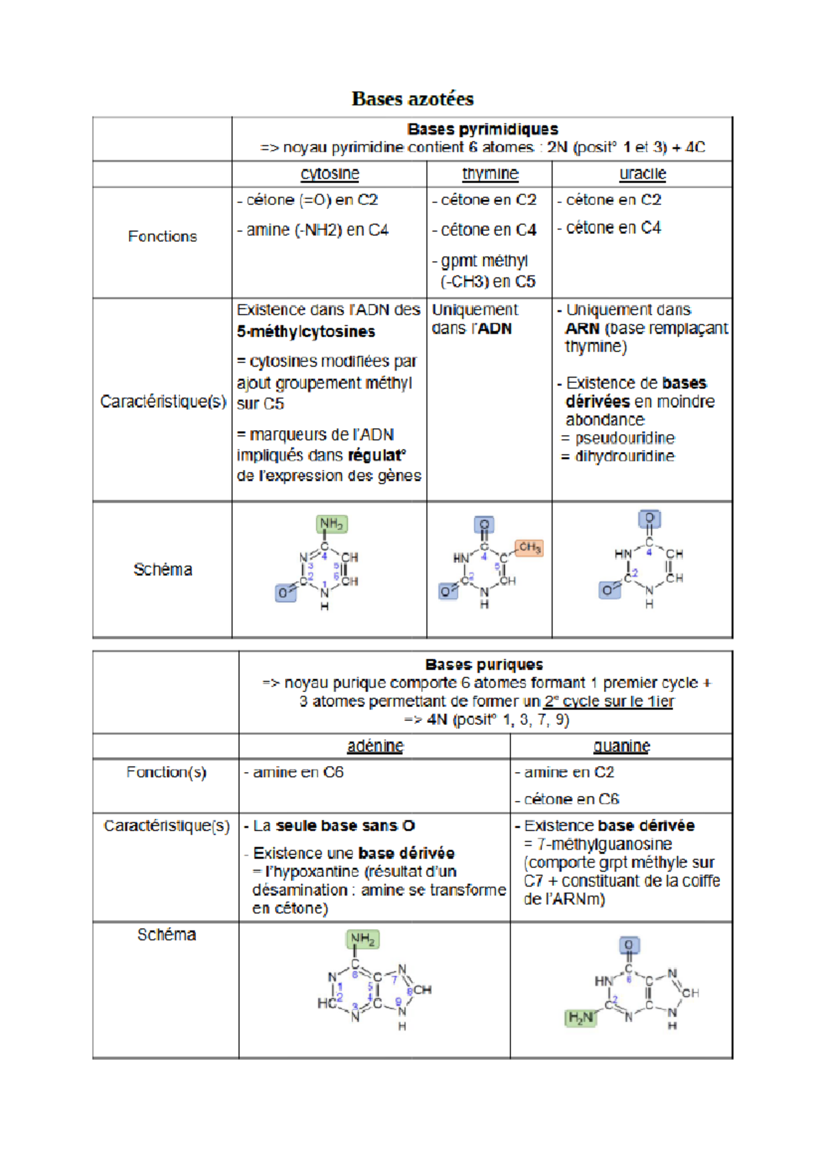 LAS biologie moléculaire tableau sur les bases azotées - Bases azotées ...
