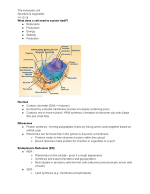 2.1. Cell Structure - Module 2.1 Biology - OCR (A) Biology A-level ...