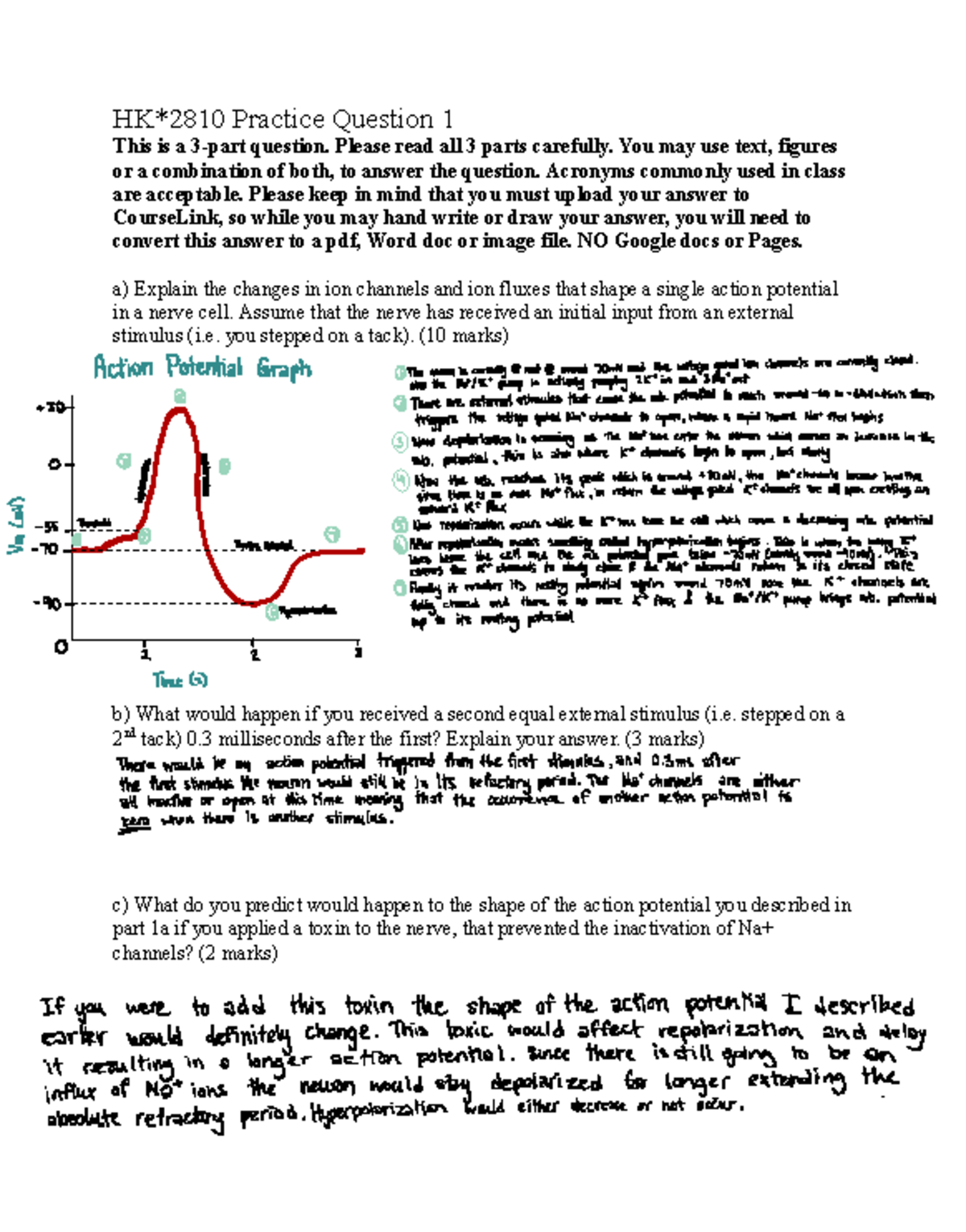 W26: Action Potential Dynamics - Practice Question 1 - Studocu