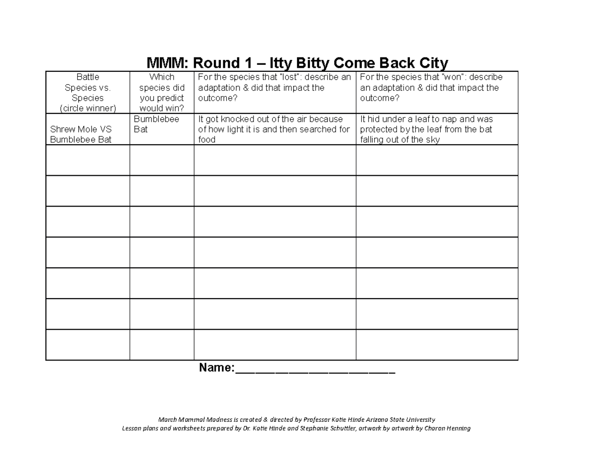 MMM: March Mammal Madness - Round Insights and Adaptations Analysis ...