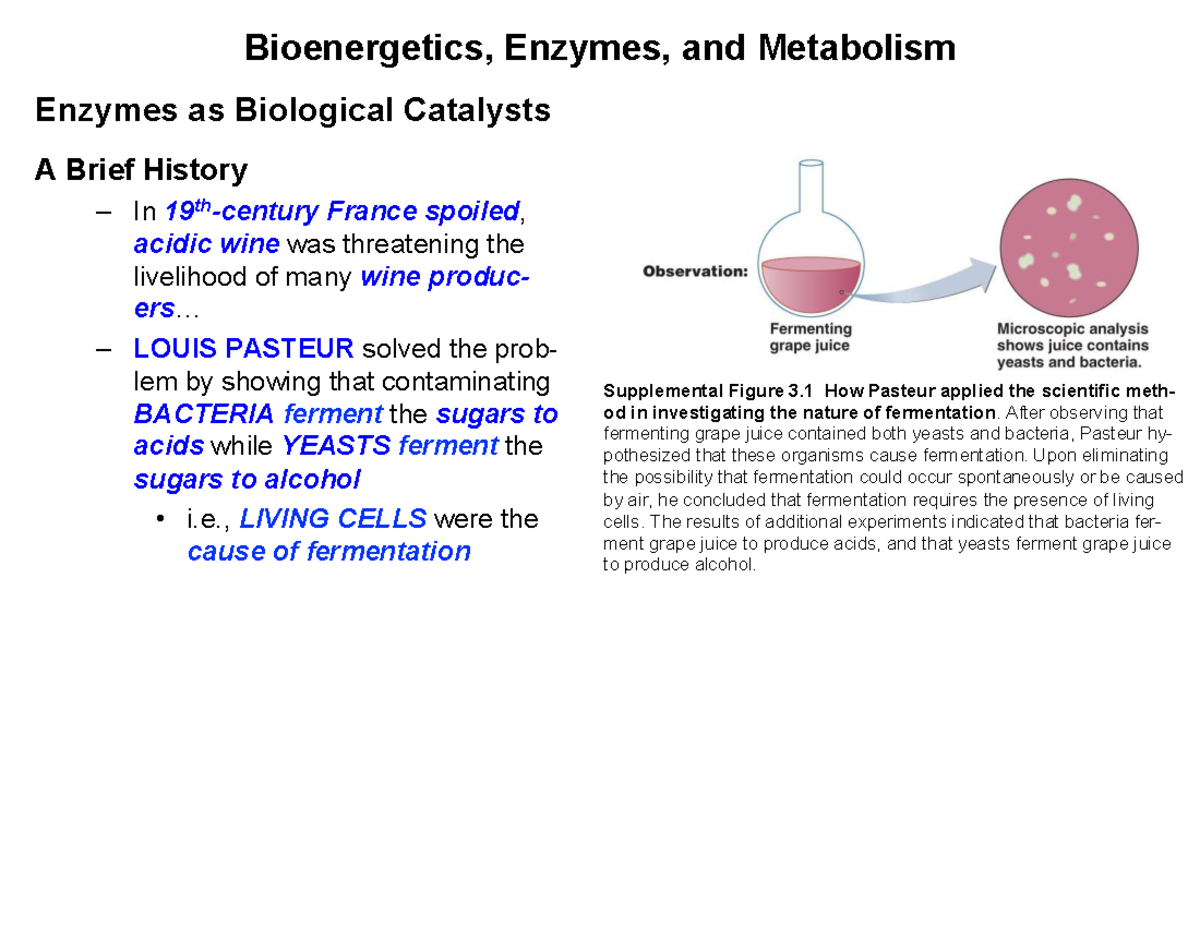 Bioenergetics, Enzymes, and Metabolism: Overview & Kinetics Analysis ...