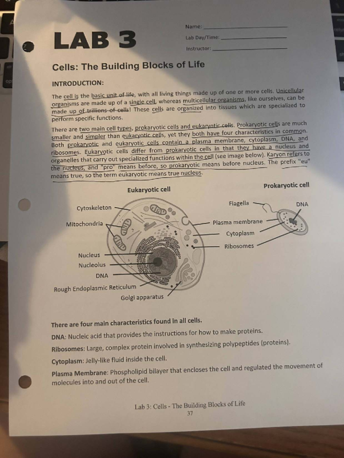 LAB 3: Cells - The Building Blocks of Life Overview - Studocu