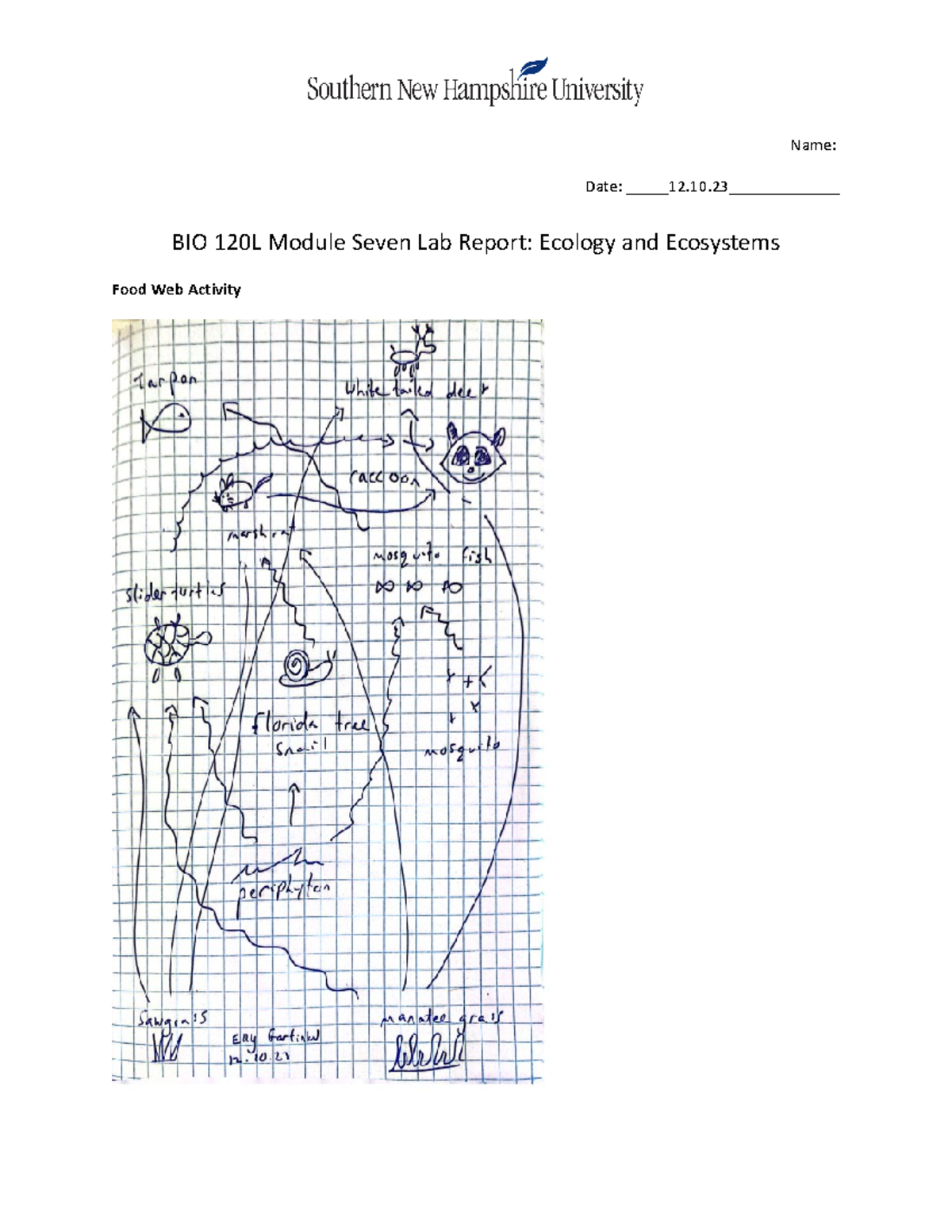 BIO 120L M7 Food Web Lab Report and Follow-Up Questions Analysis - Studocu