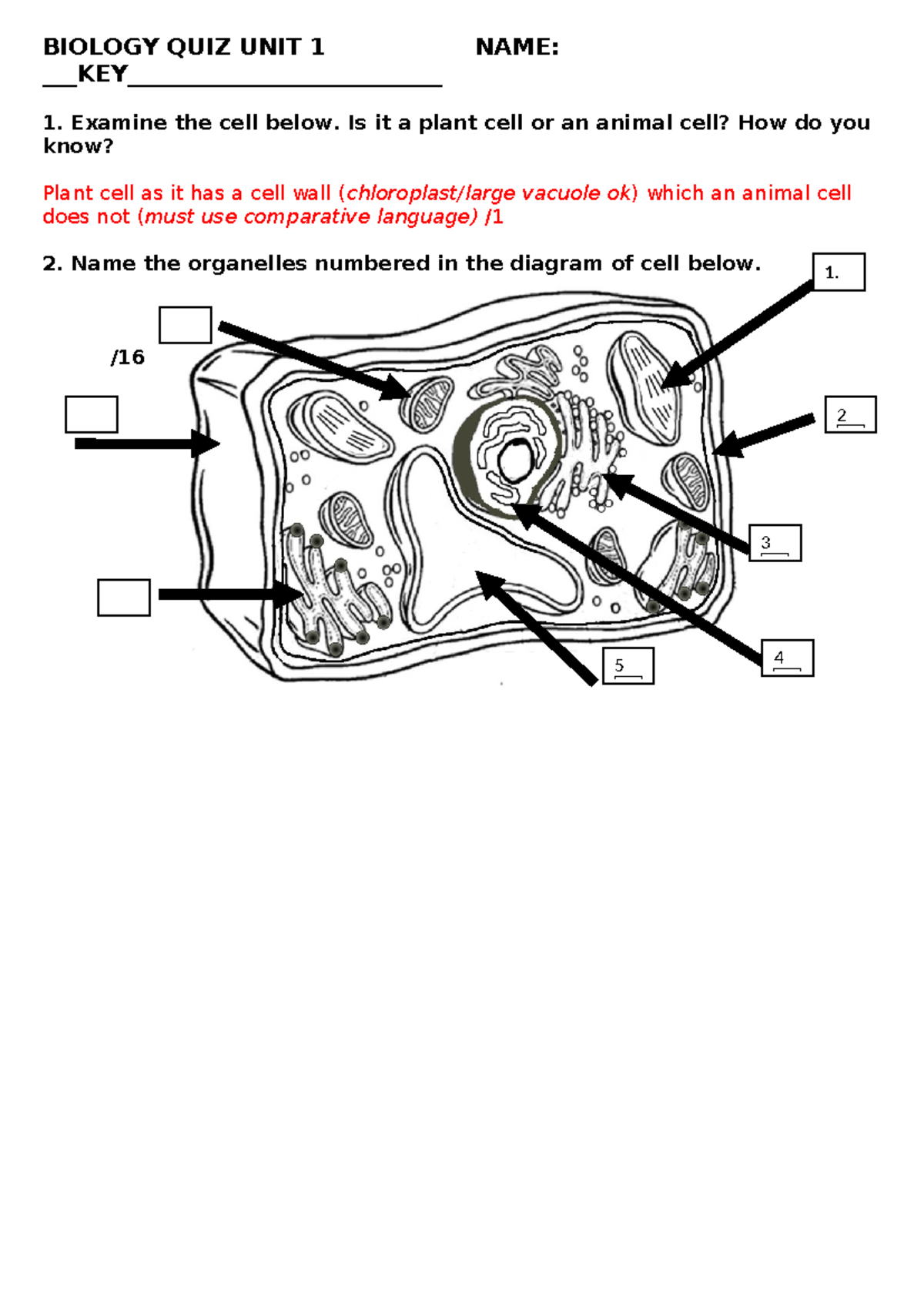 Biology QUIZ UNIT 1 KEY (Autosaved) - BIOLOGY QUIZ UNIT 1 NAME: KEY