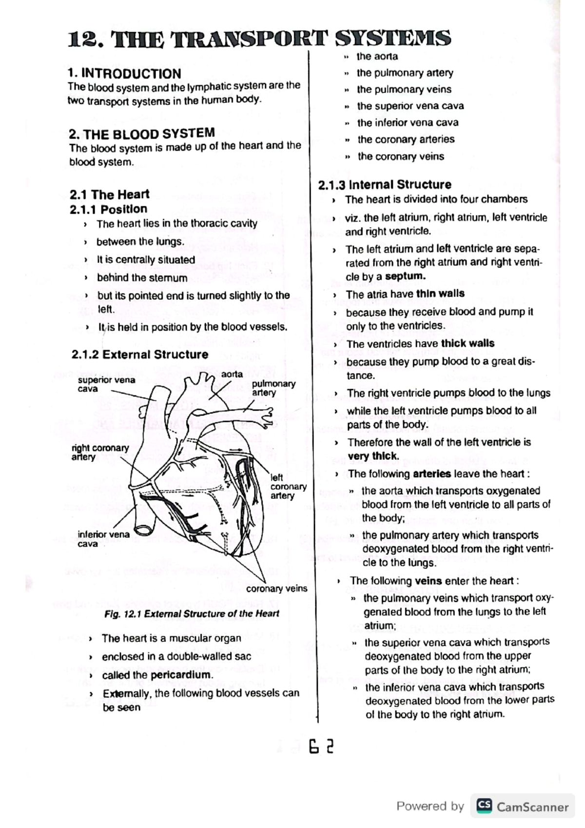 CS 101: Detailed Overview of the Mammalian Transport System - Studocu