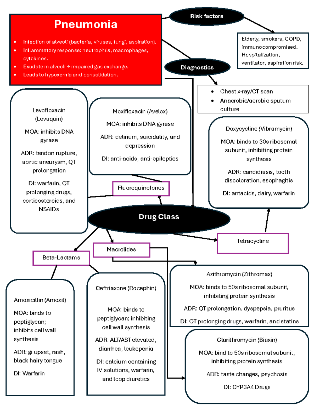 Pneumonia Risk Factors & Treatment Overview (Concept Map) - Studocu