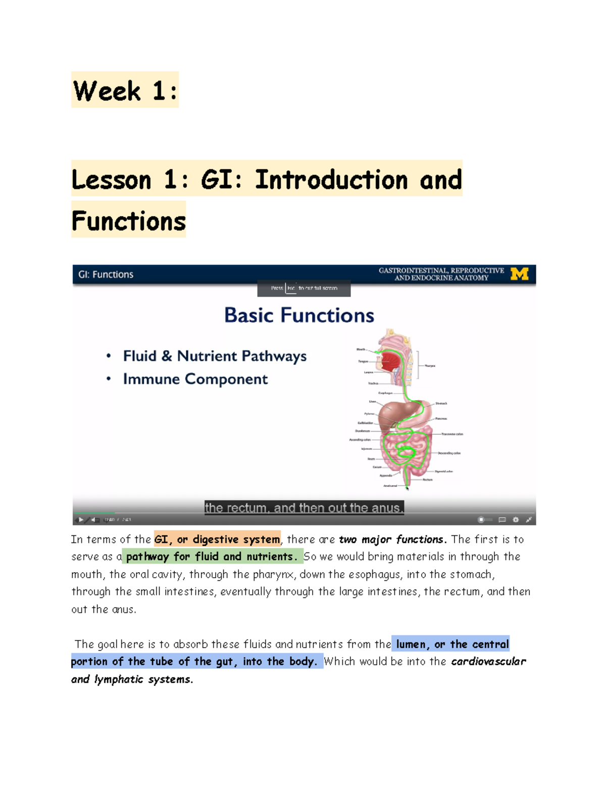 Anatomy of the Gastrointestinal System: Lessons on GI Functions and ...