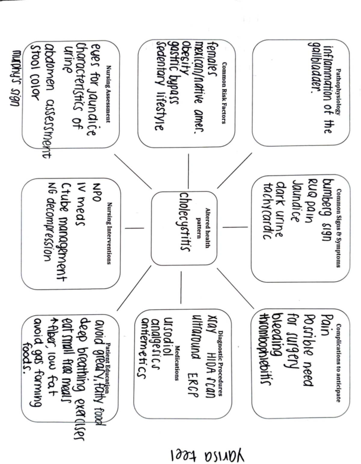 Pathophysiology of Gallbladder Inflammation: A Study Guide - Studocu